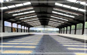 Swallowfield | Equestrian